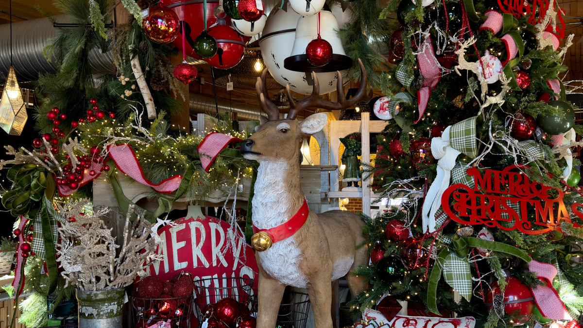 Charmed House Interiors Home Design Ideas Start Here